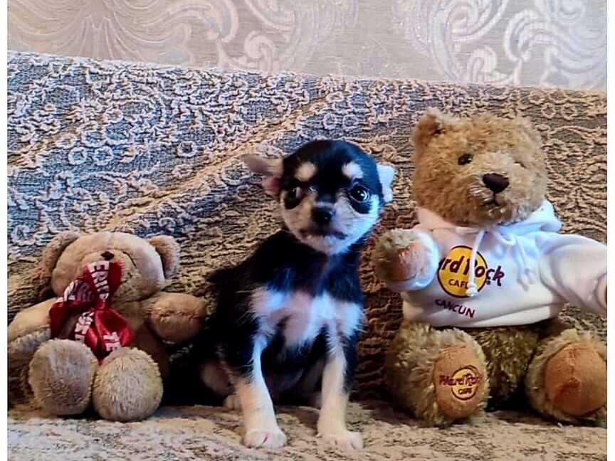 Чашечка мальчик