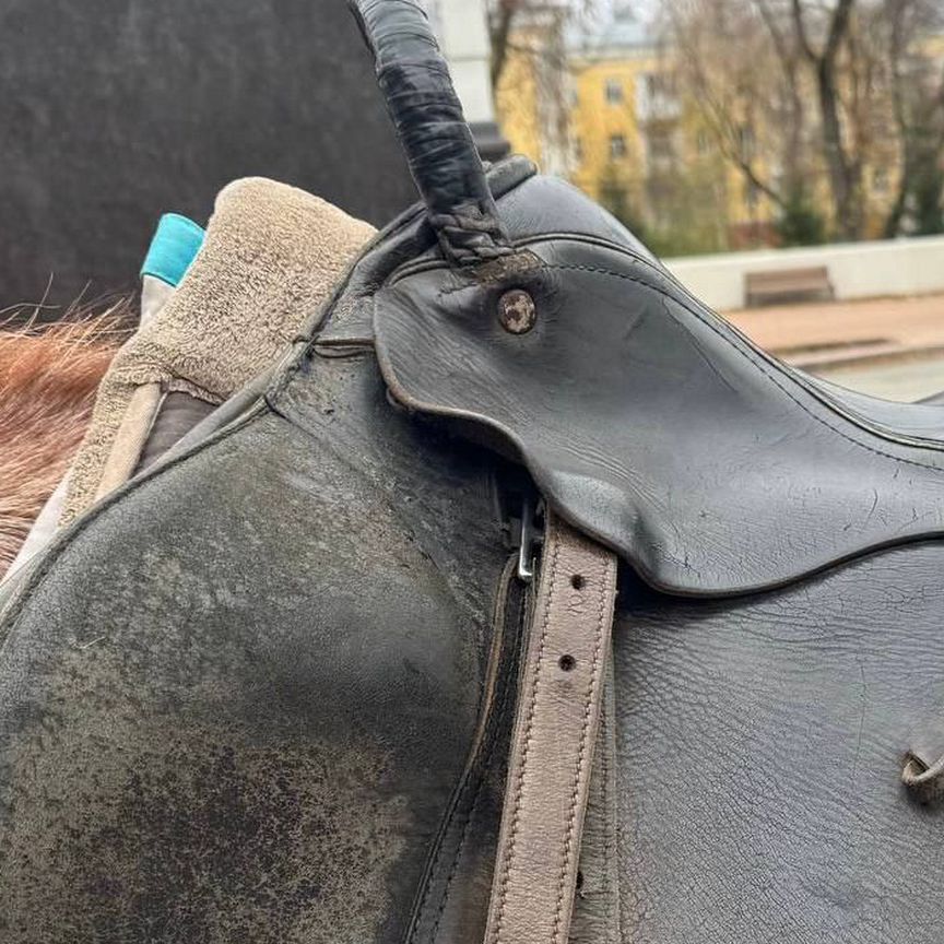 Седло для лошади