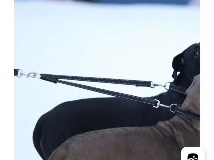 Сворка для двух собак