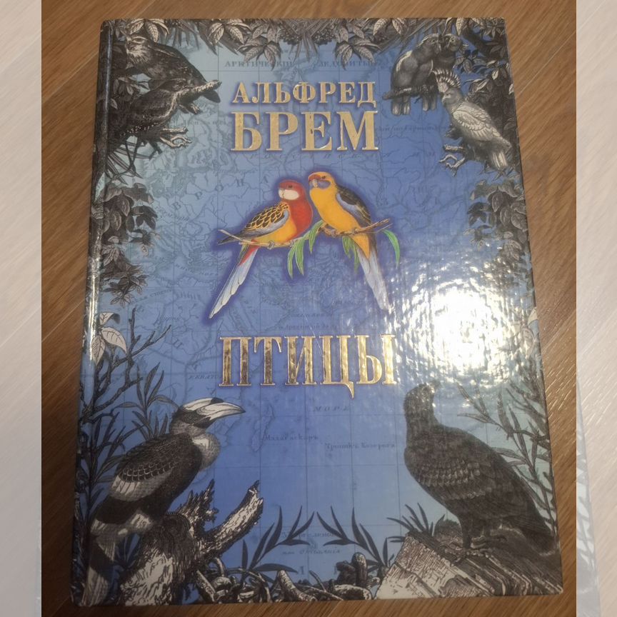 Птицы