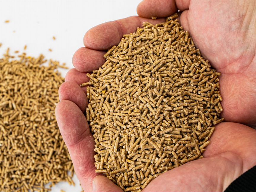 Корм для крс, птиц и других животных