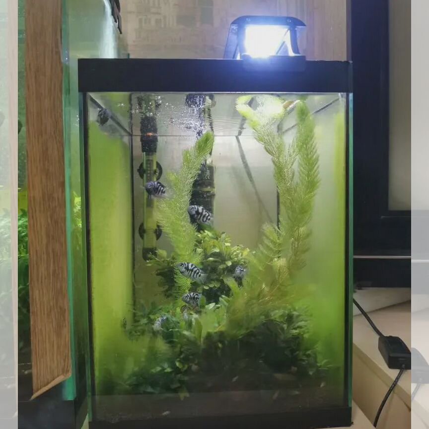 Аквариум 30л