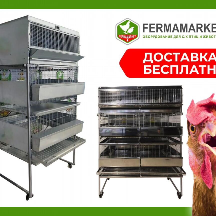Клетки бройлеров, кур-несушек Александровское