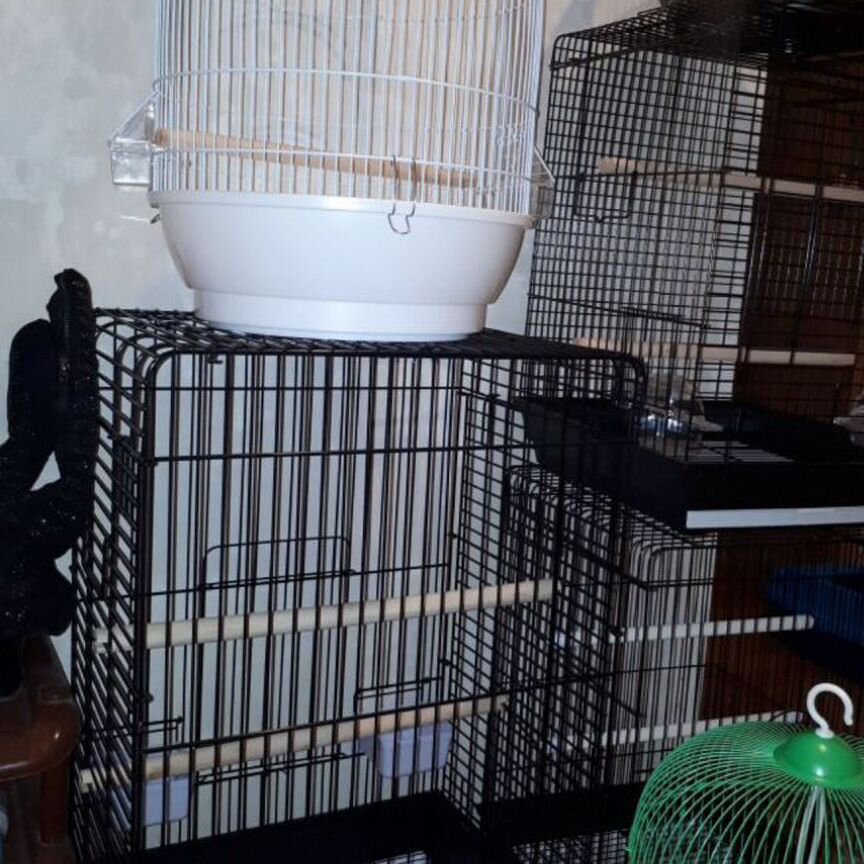 Клетки новые для средних и крупных птиц