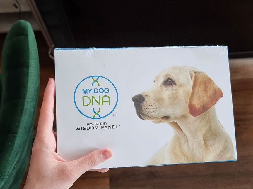 Mydogdna генетический тест мдд