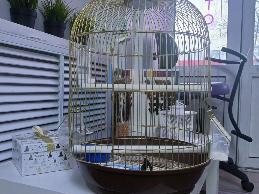 Клетка для попугая