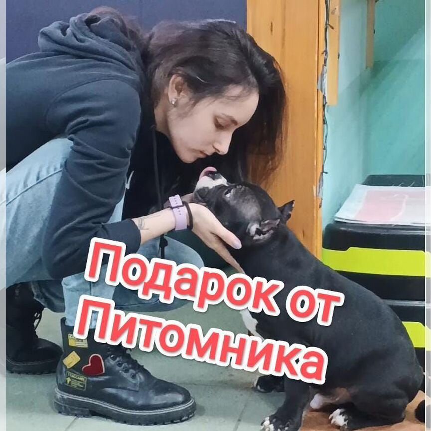 Чёрный Амбулли