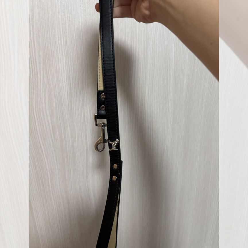 Аксессуары для собак