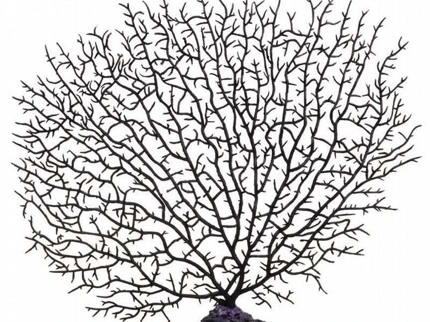 Коралл искусственный 1402KL Горгонария, 275*250м