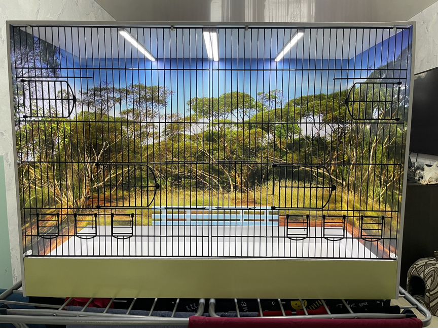 Бокс пролетка