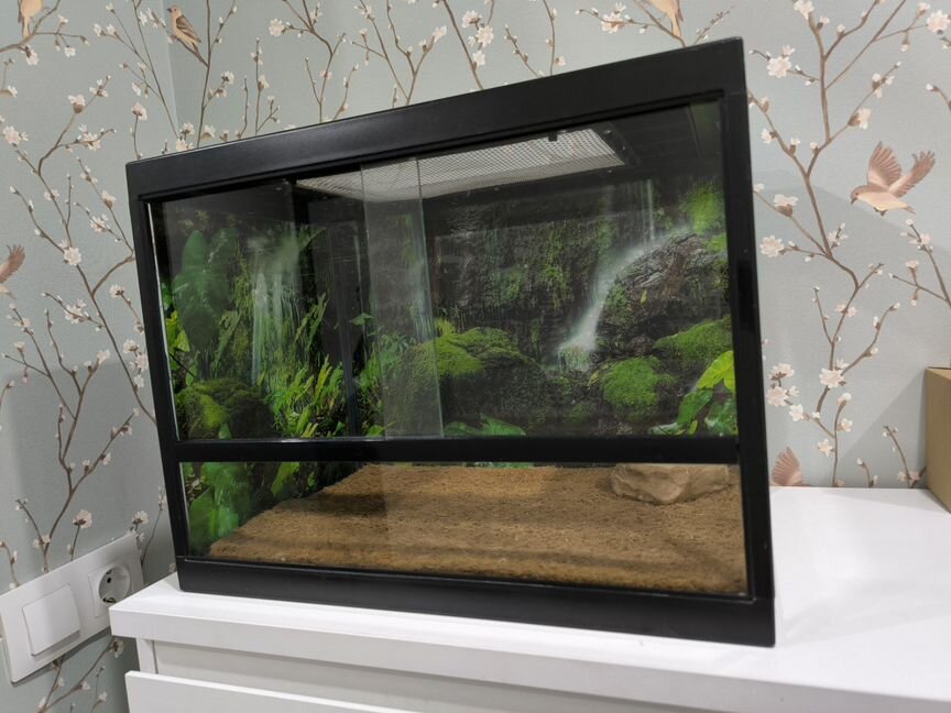 Террариум практически новый