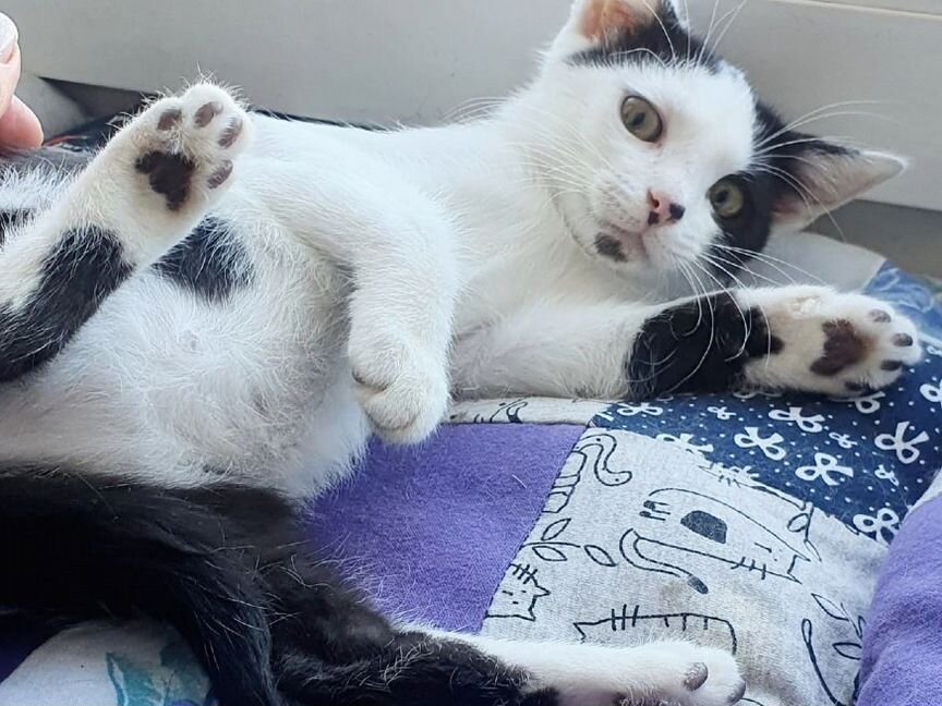 Малышка хочет домой