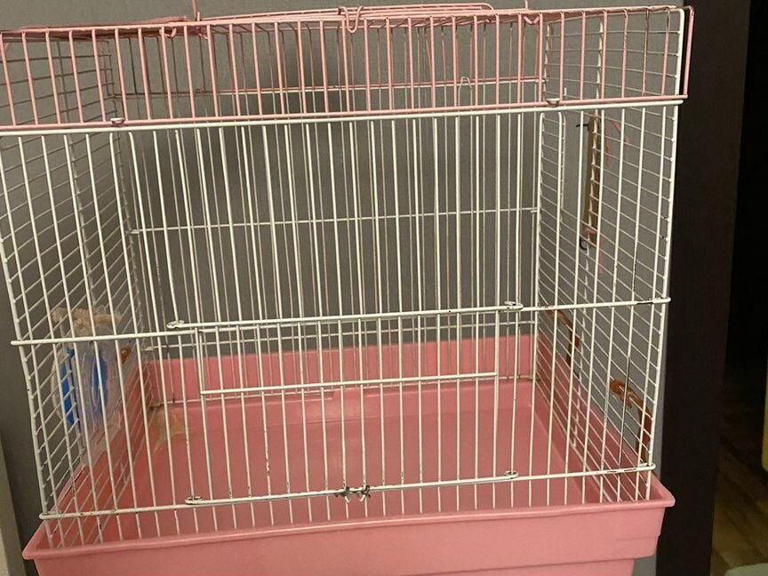 Клетка для хомяка с допами