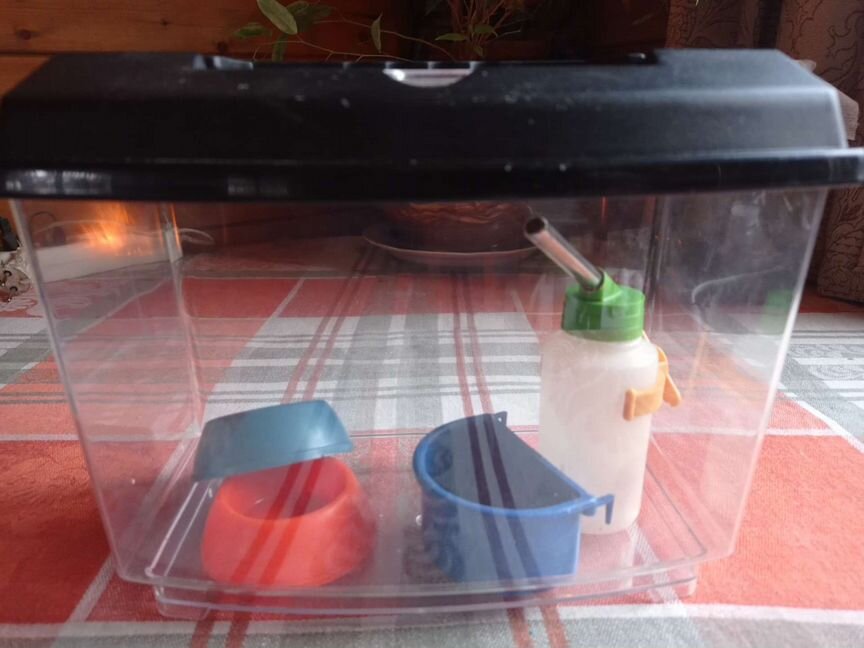 Переноска для животных пластиковая