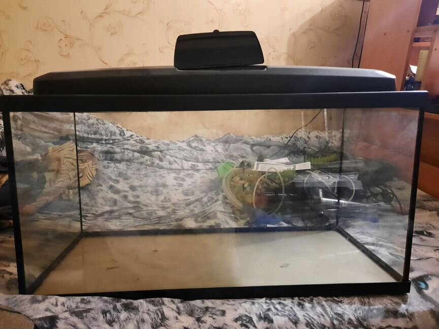 Аквариум