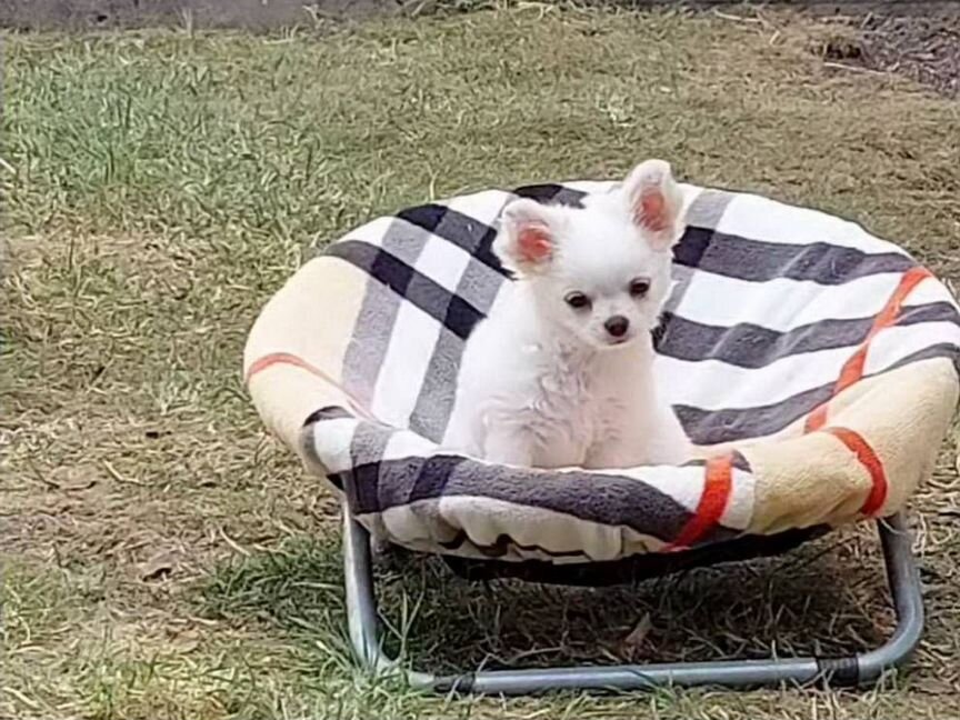 Очаровательный мальчик