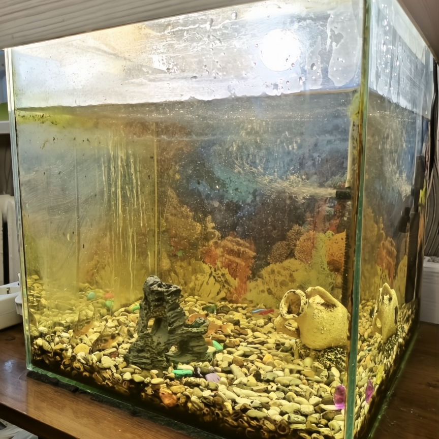 Аквариум с рыбками