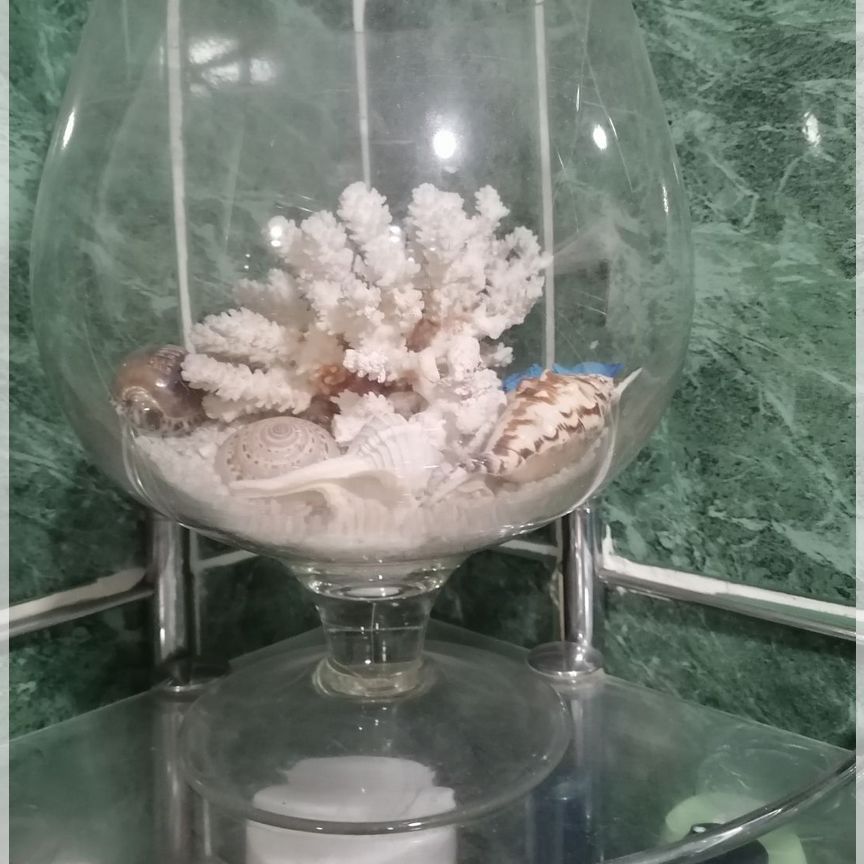 Аквариум чаша