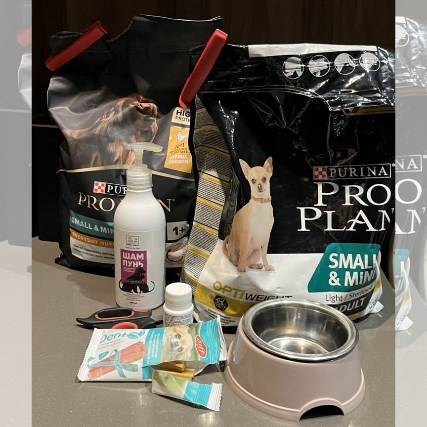 Принадлежности для маленьких собак