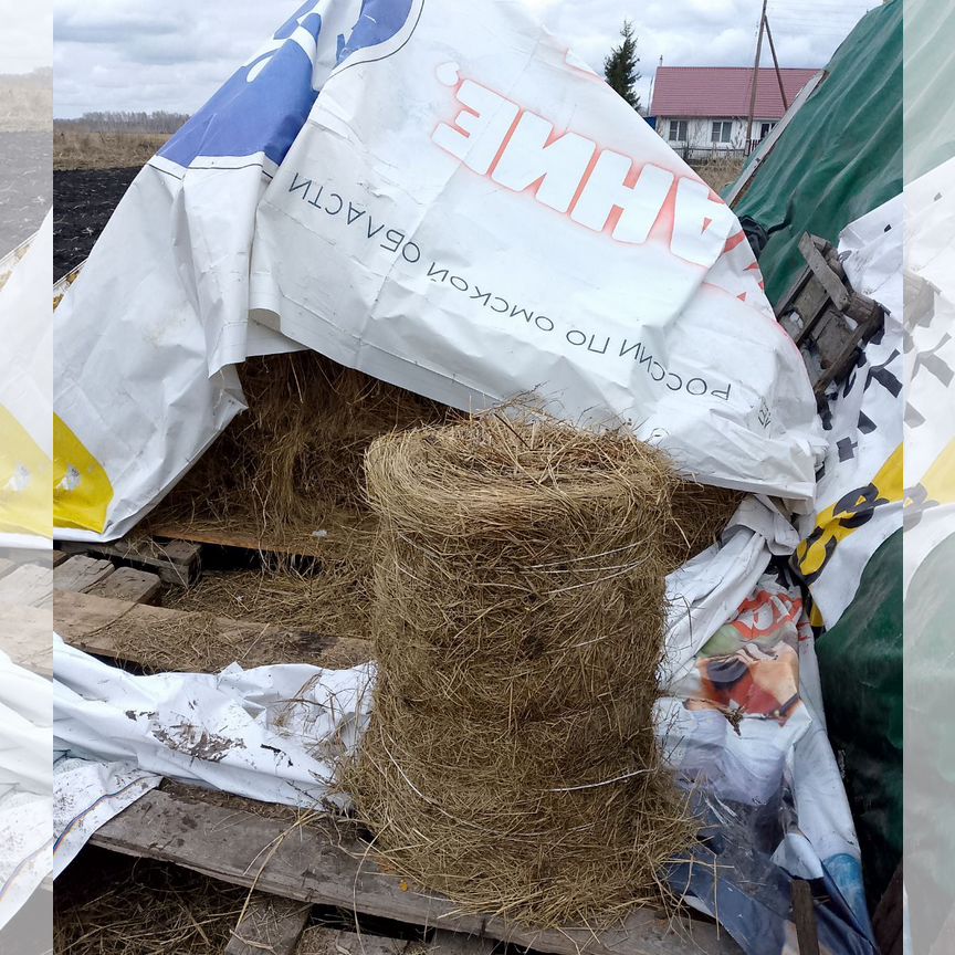 Сено в маленьких рулонах