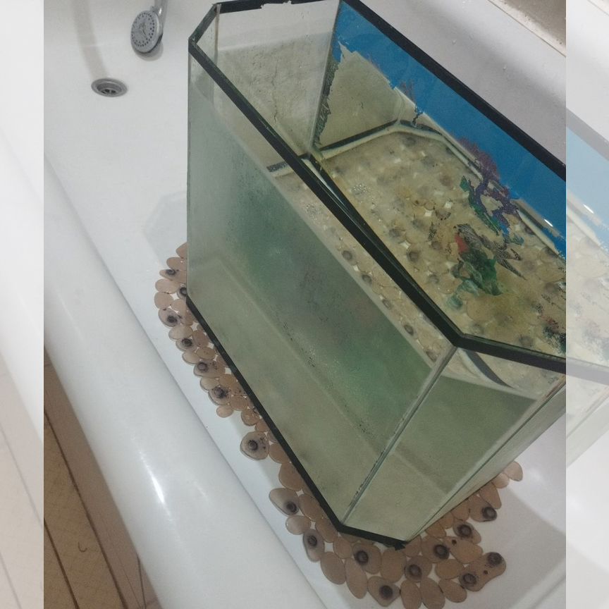 Аквариум 44 литра (для грызуна)