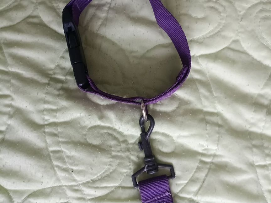 Комплект для собак, ручной работы