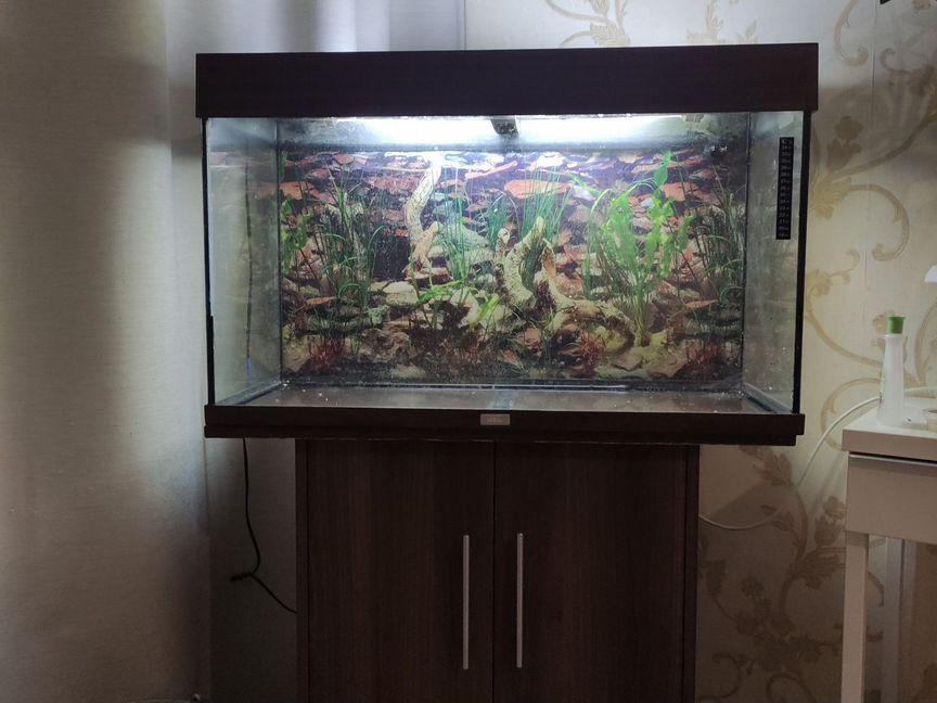 Аквариум