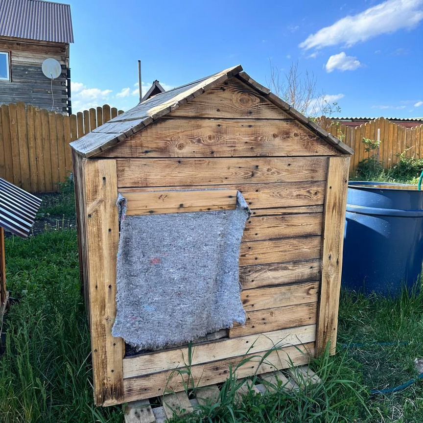 Собачья будка для большой собаки