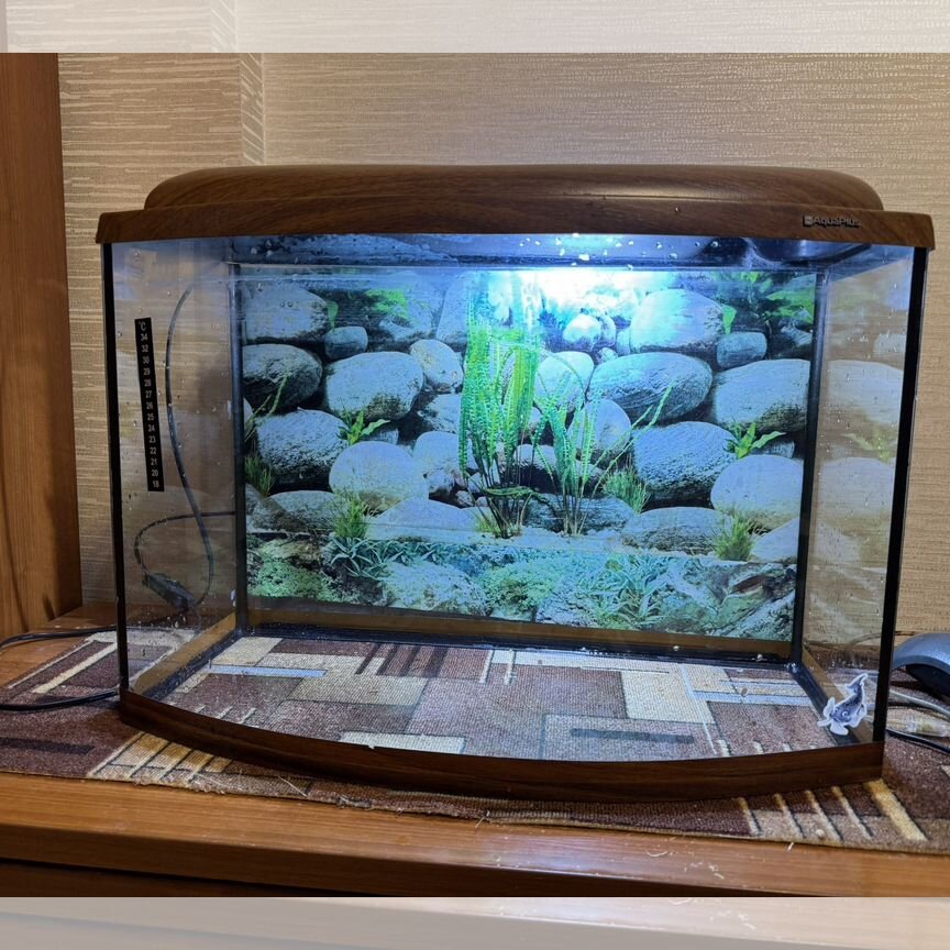 Аквариум 50 литров