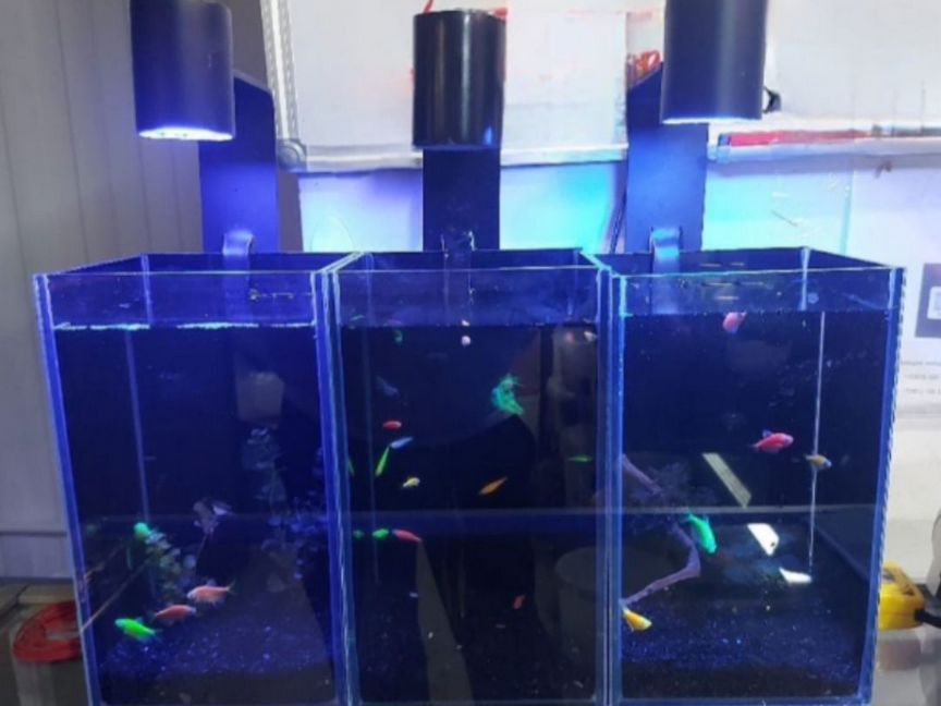 Аквариум с лампой