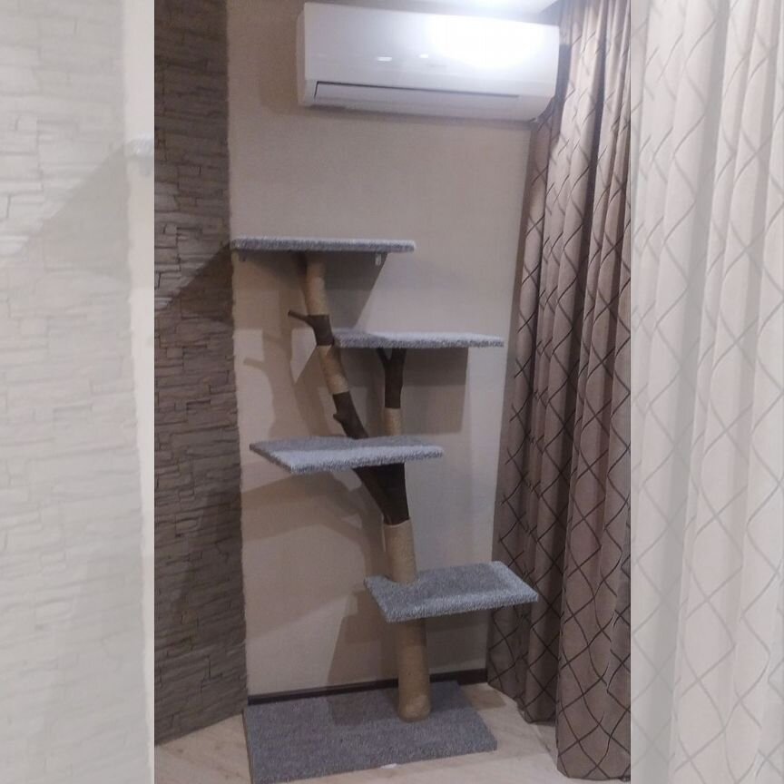 Когтеточка, кошачье дерево