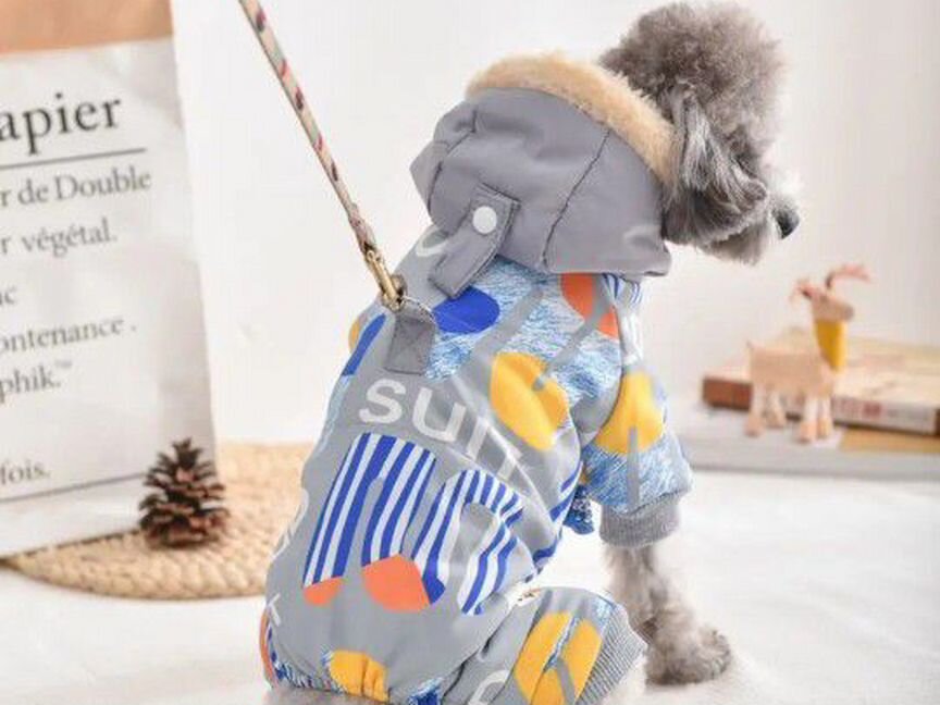 Комбинезон для собаки