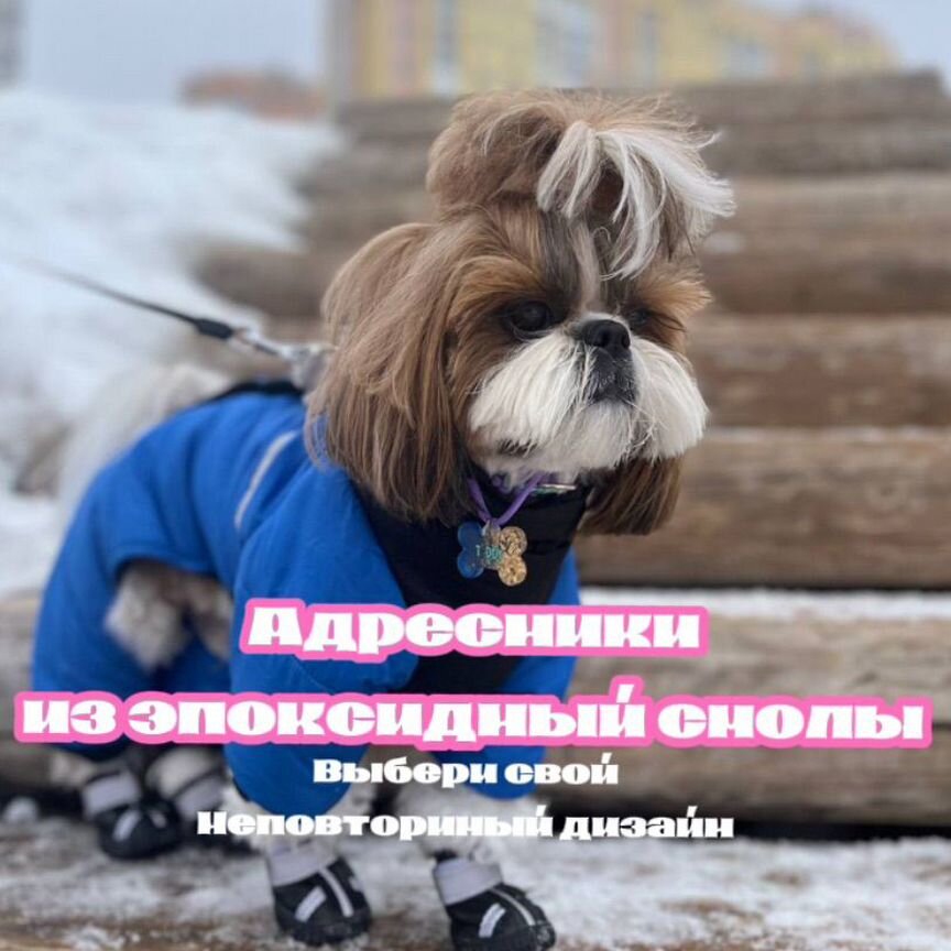 Адресник для собак