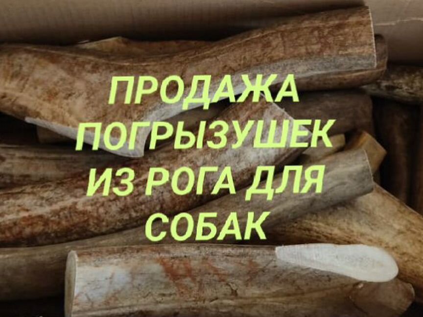 Рога для собак (погрызушки)
