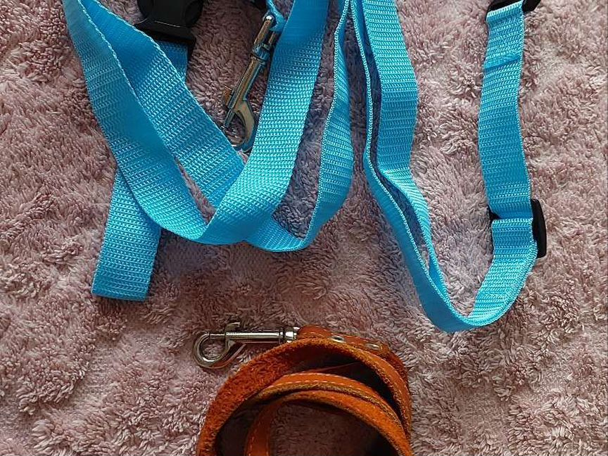 Поводки для собаки