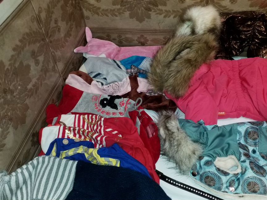 Одежда для собак вещи комбез шлейка нат кожа страз