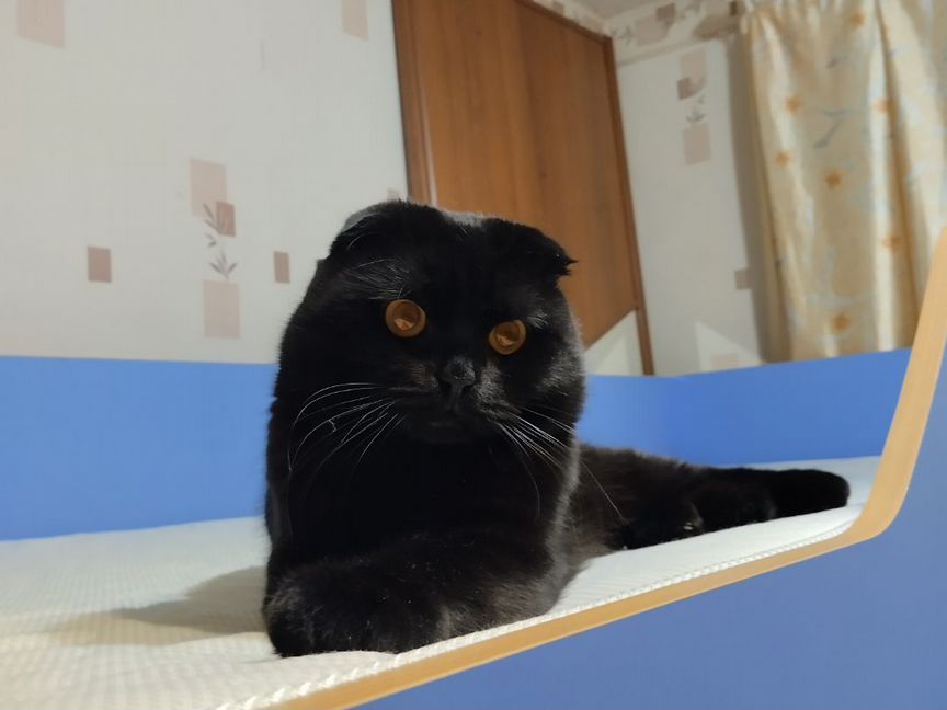 Спаривание