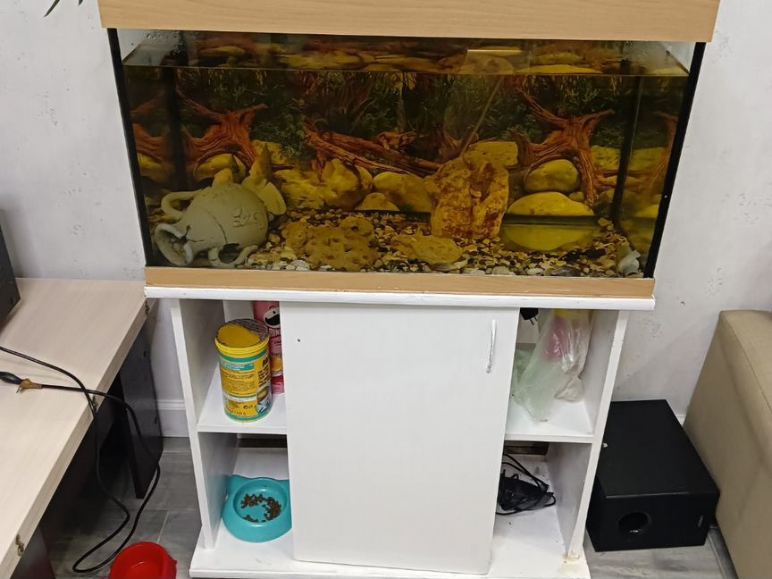 Аквариум с тумбой и рыбками
