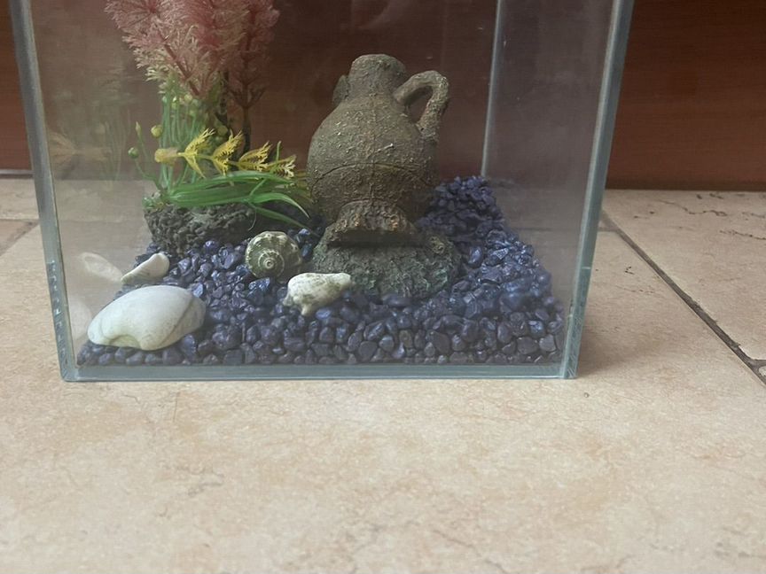 Аквариум daquarium б/у
