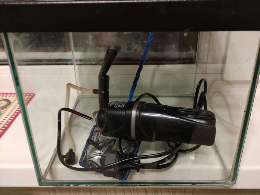 Аквариум