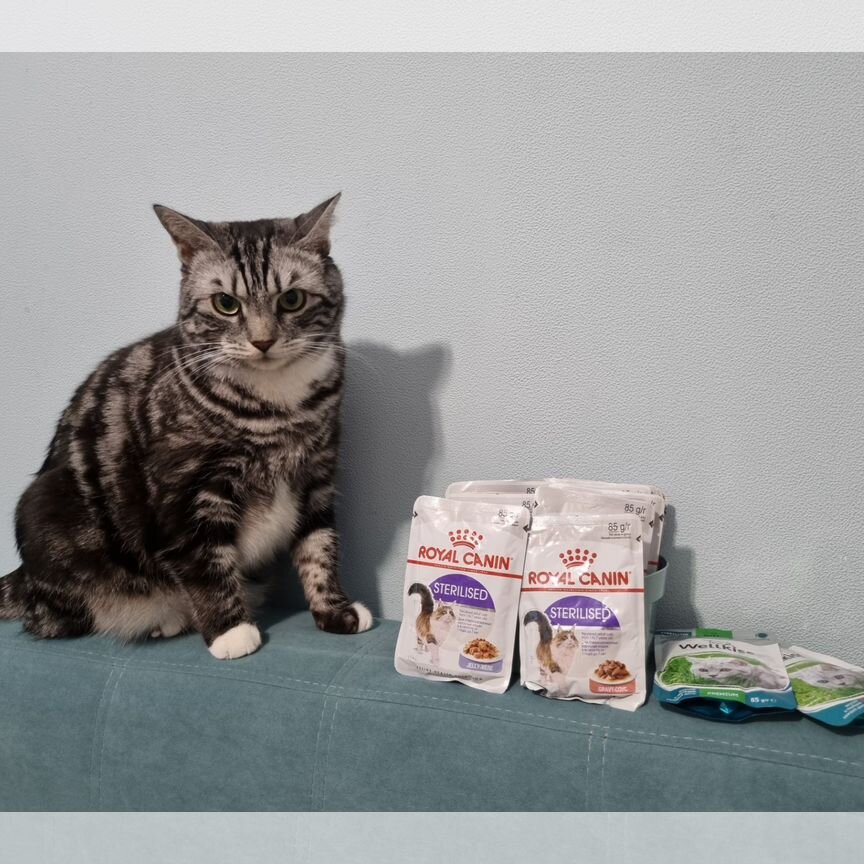 Корм для кошек Royal Сanin (Роял Канин) sterilised