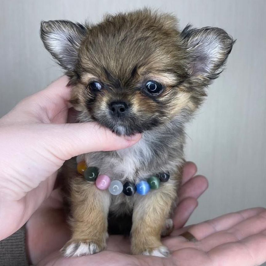 Малыш Один На Миллион