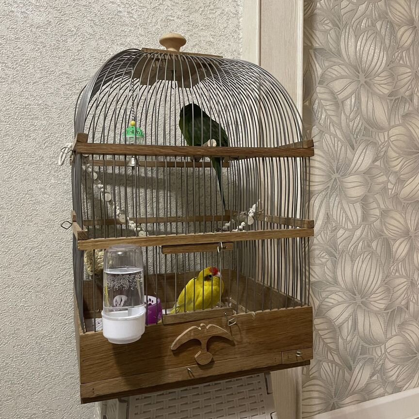Клетка для попугая