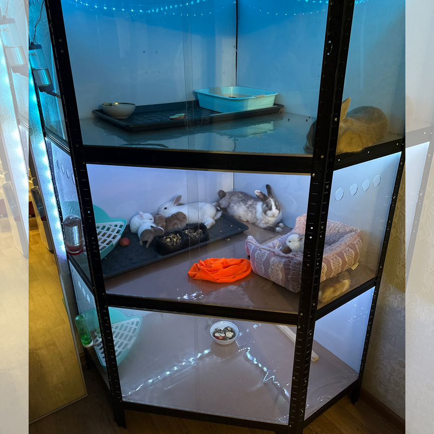 Клетка для грызунов очень большая