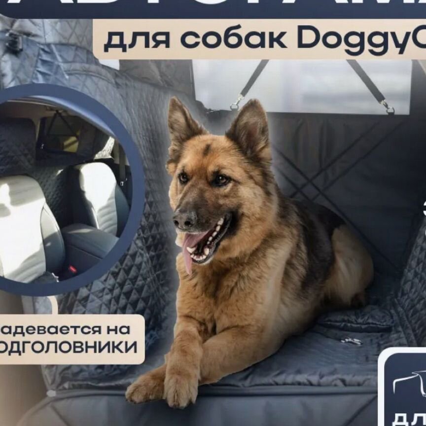 Автогамак для собак