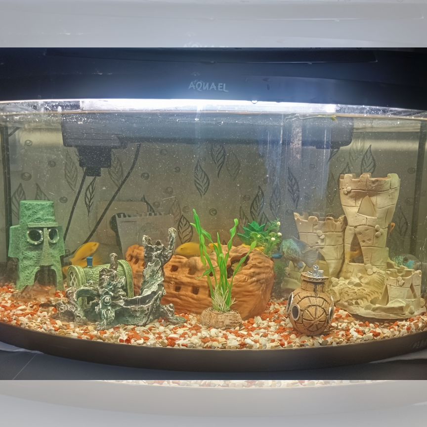 Аквариум с аксессуарами и рыбками