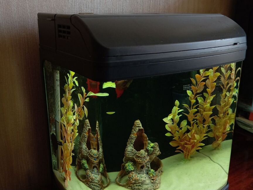 Аквариум Jebo r331