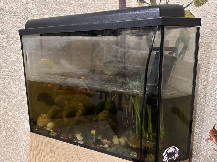 Аквариум с рыбками бу угловой