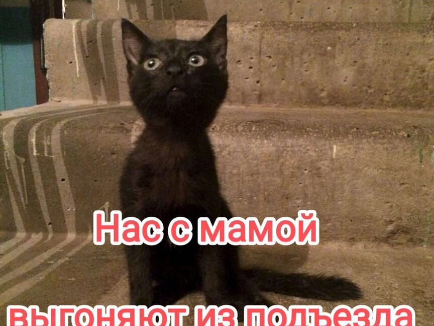 Ситуация SOS