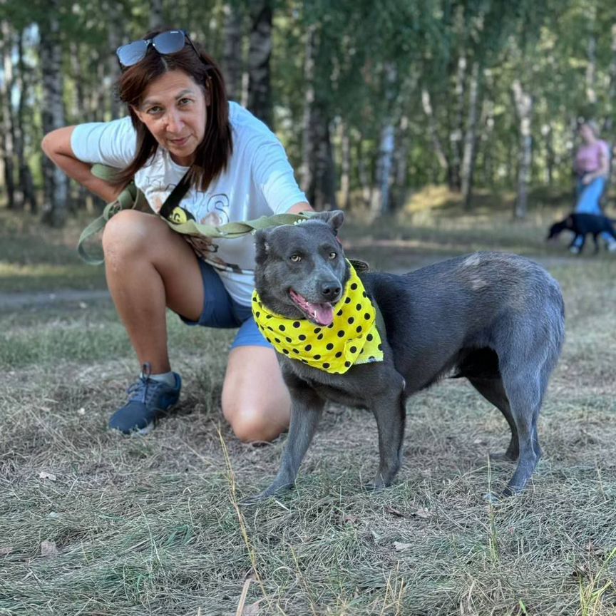 Мальве очень нужен дом